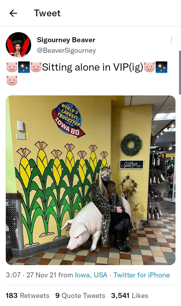 🤍👻 sigourney beaver appreciation post #2 👻🤍 | Fandom