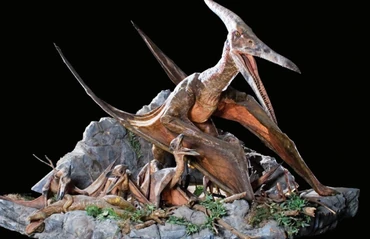 While protecting Bary, the Ptera knocked you out! You wake up in a nest ...