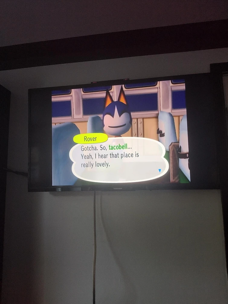 PLAYING CITY FOLK!! | Fandom