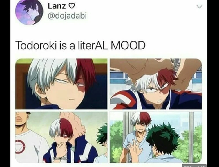 Todoroki memes | Fandom