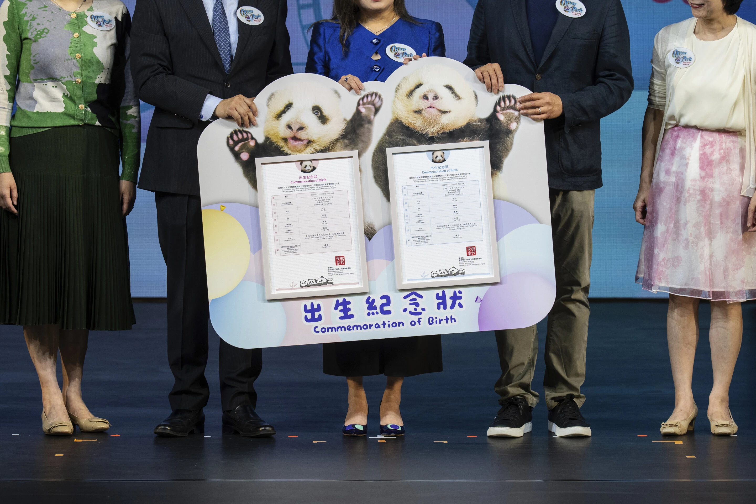 After centuries, Pandas are finally reintroduced to and thrive in ...