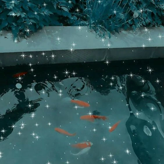 some advice? | Fandom