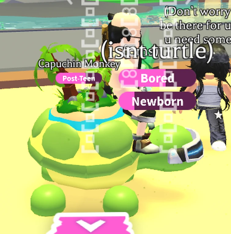 look my neon turtle | Fandom