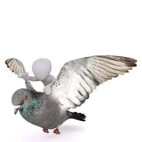 Any combos w ttk and control? | Fandom