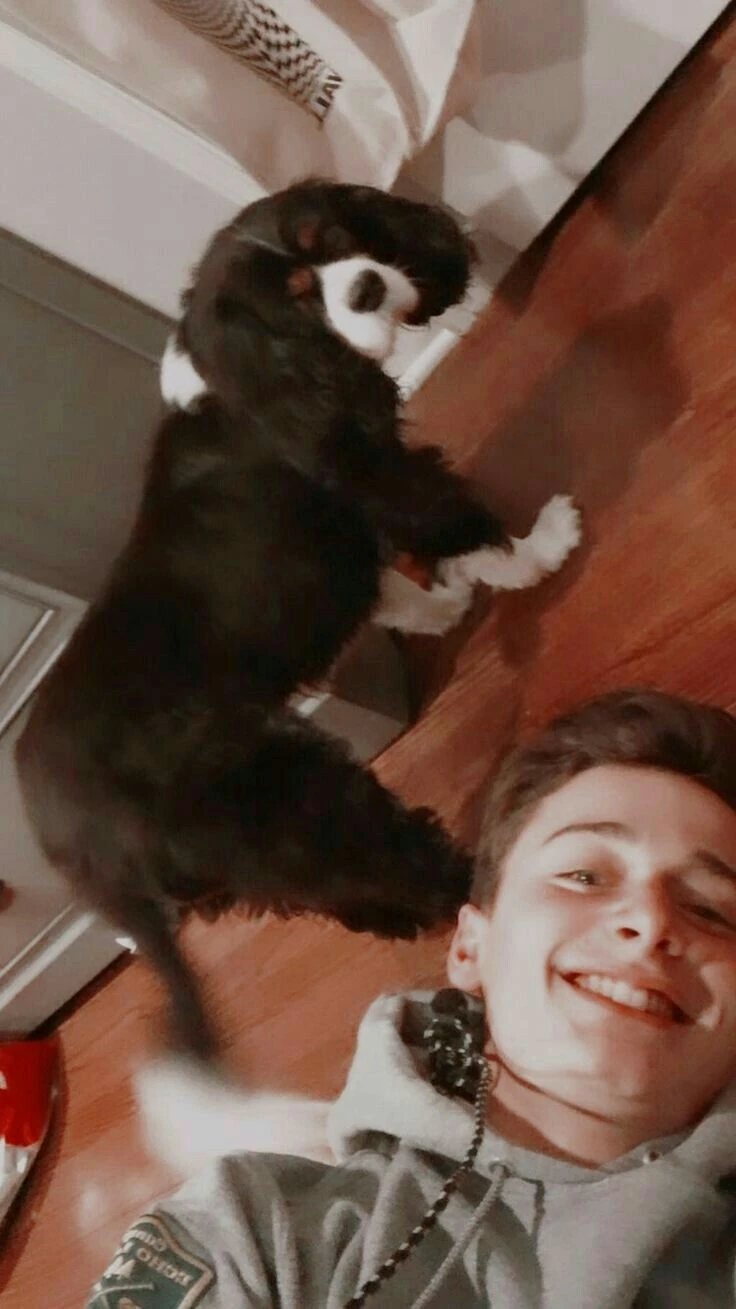 NoAh AnD DoG | Fandom