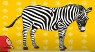 Which zebra is the best? | Fandom