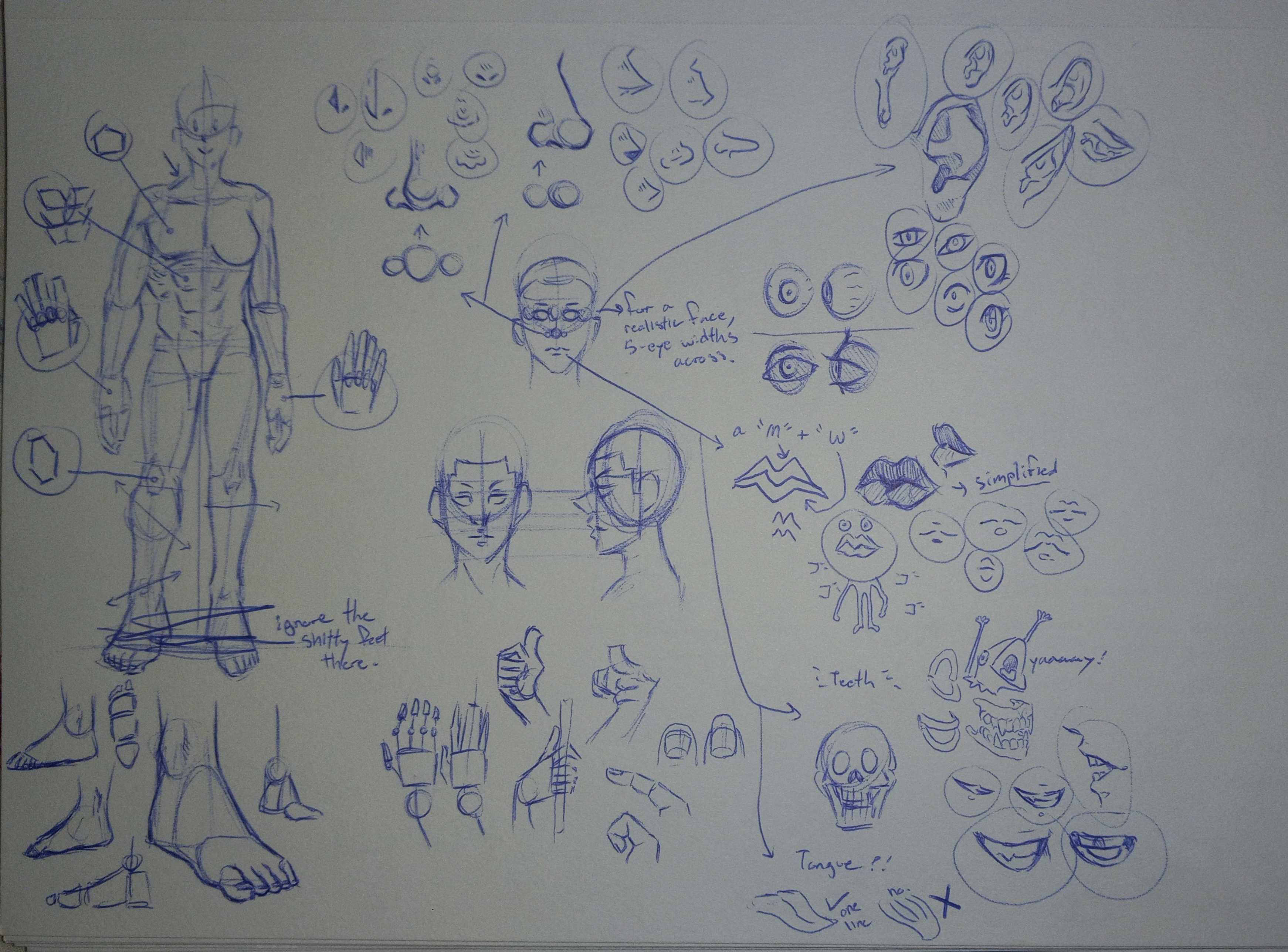 BTYB Speedwagang: "Art Tutorial" Cram Course; | Fandom
