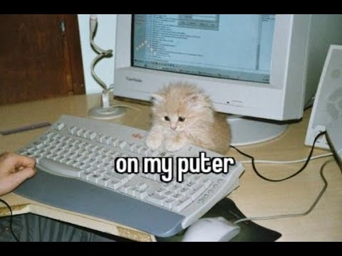On my puter | Fandom