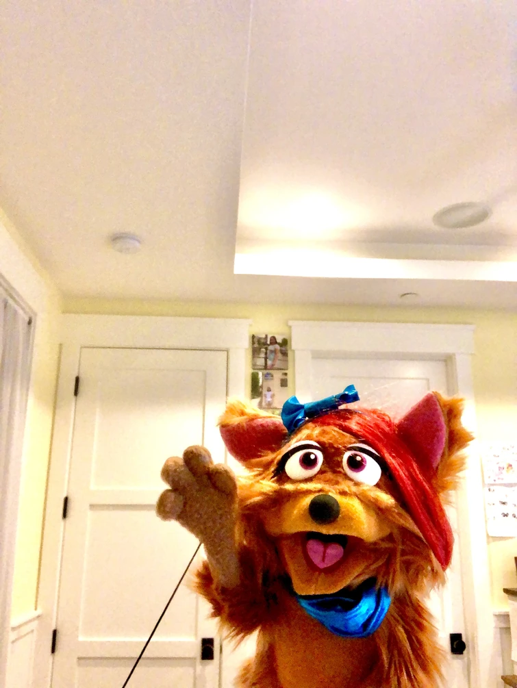 DJ Puppet | Fandom