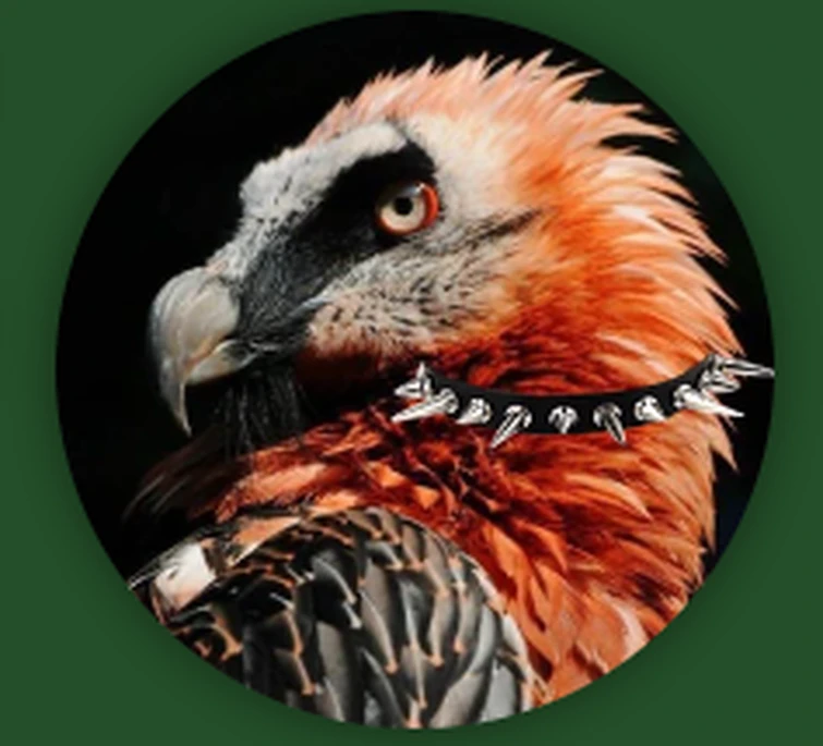 Ranking the wiki staff pic | Fandom