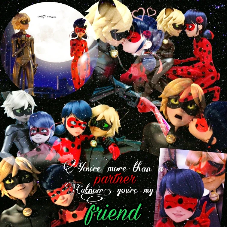 Ladynoir ☆•☆ | Fandom