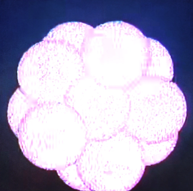 face revel 2 | Fandom