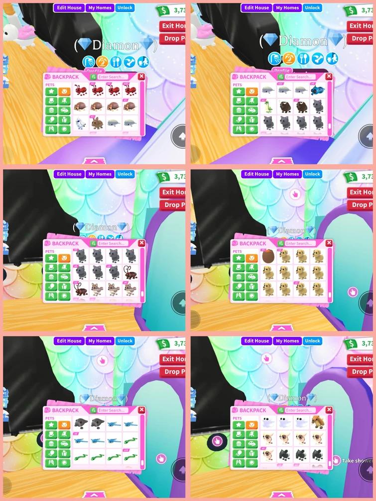 Discuss Everything About Adopt Me! Wiki | Fandom