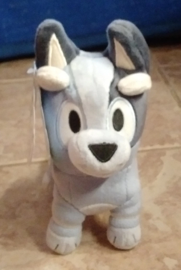 Discuss Everything About Bluey Wiki | Fandom
