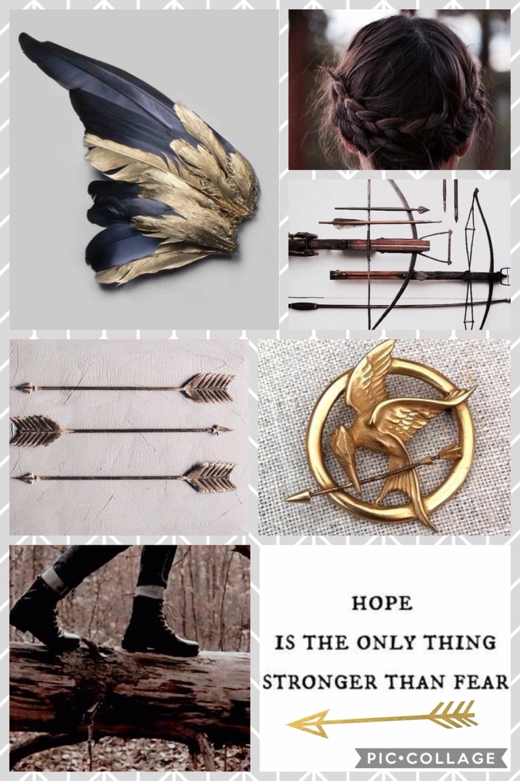 Hunger Games Aesthetic | Fandom