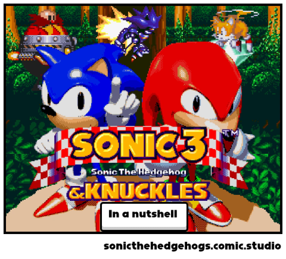 Sonic 3 and knuckles in a nutshell coming soon | Fandom