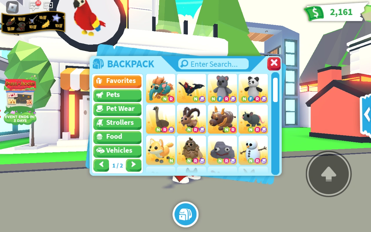 Lf: Turtle/Old Pets | Fandom