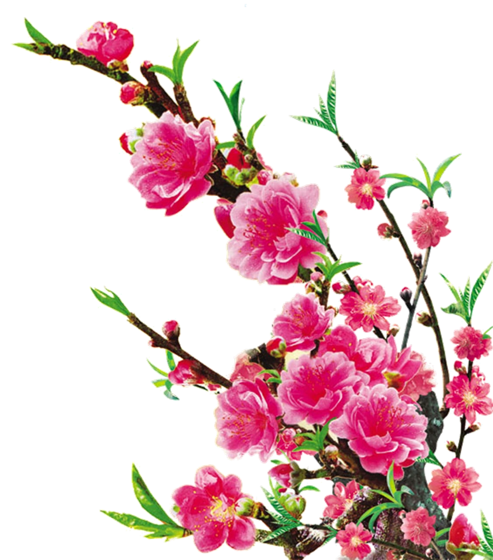 Tạo hoa đào Logo Tết 2020 của HTV theo kiểu này | Fandom