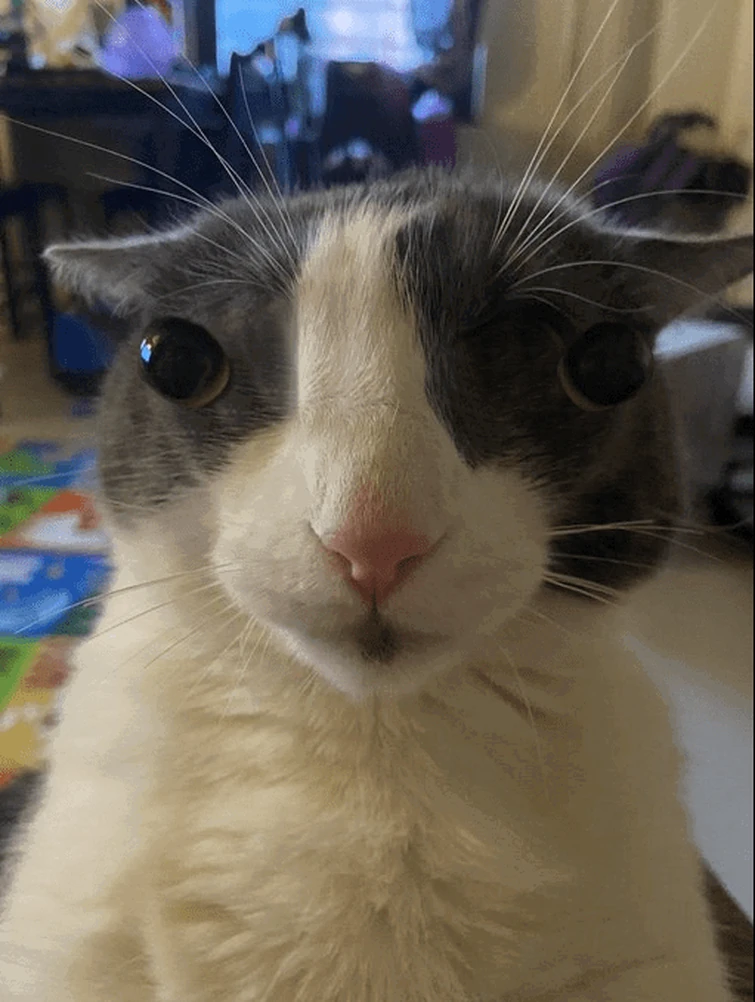 Discuss Everything About Adventure Time Wiki | Fandom