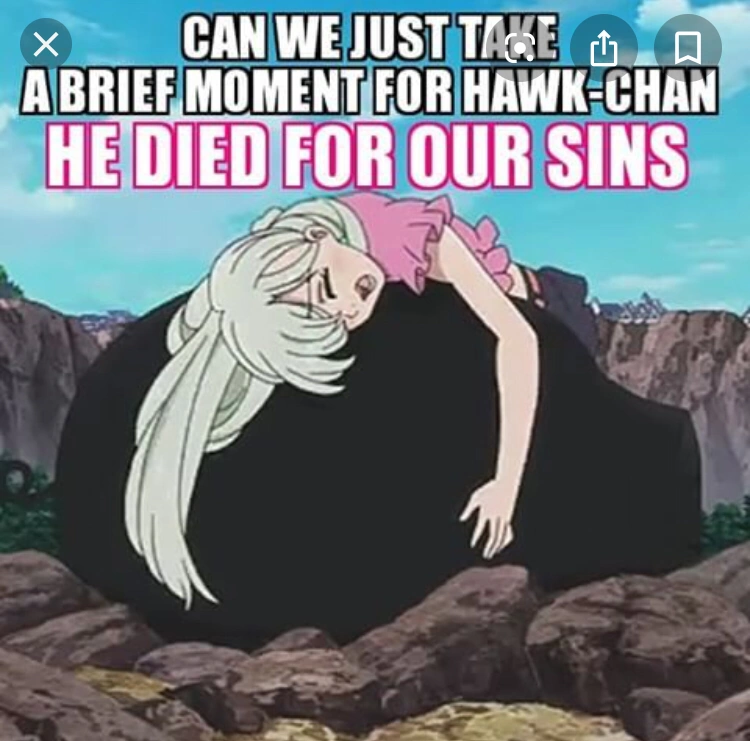 HAWK!! ??????‍???‍? | Fandom