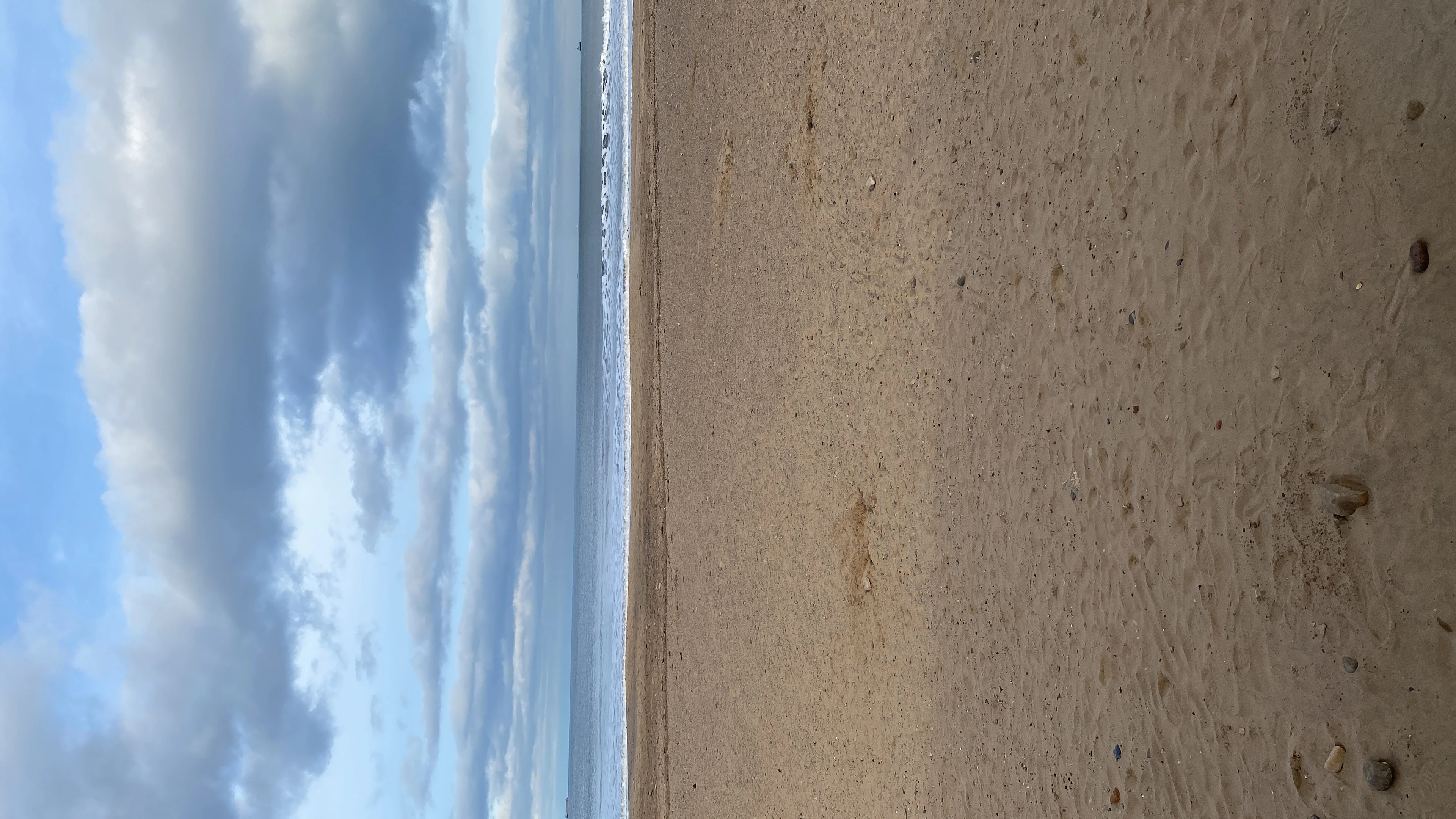 Only alive just to post this- | Fandom