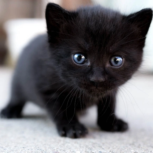 bbbbbbbbbbbbb | Fandom