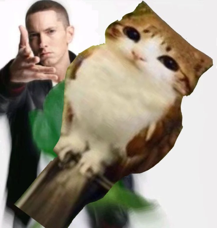 MORNIN PEEPS!! | Fandom