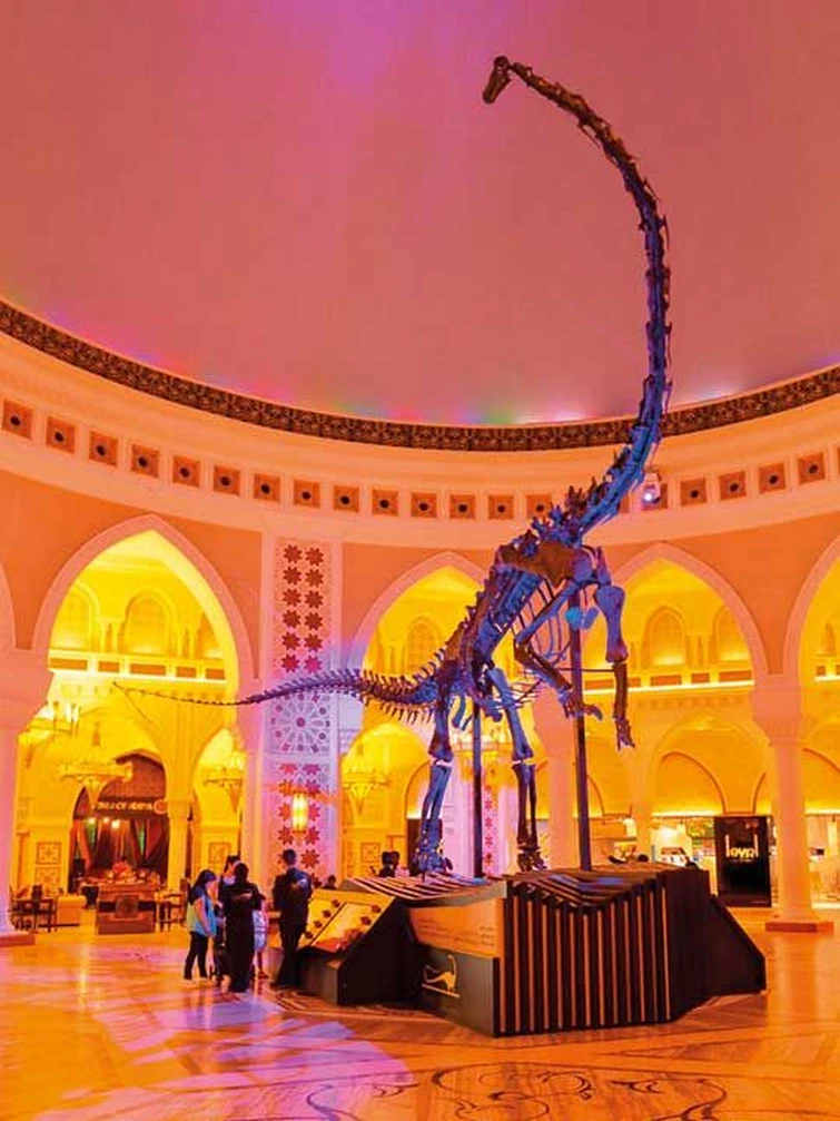 Yesterday, look what i came across the Dubai mall! | Fandom