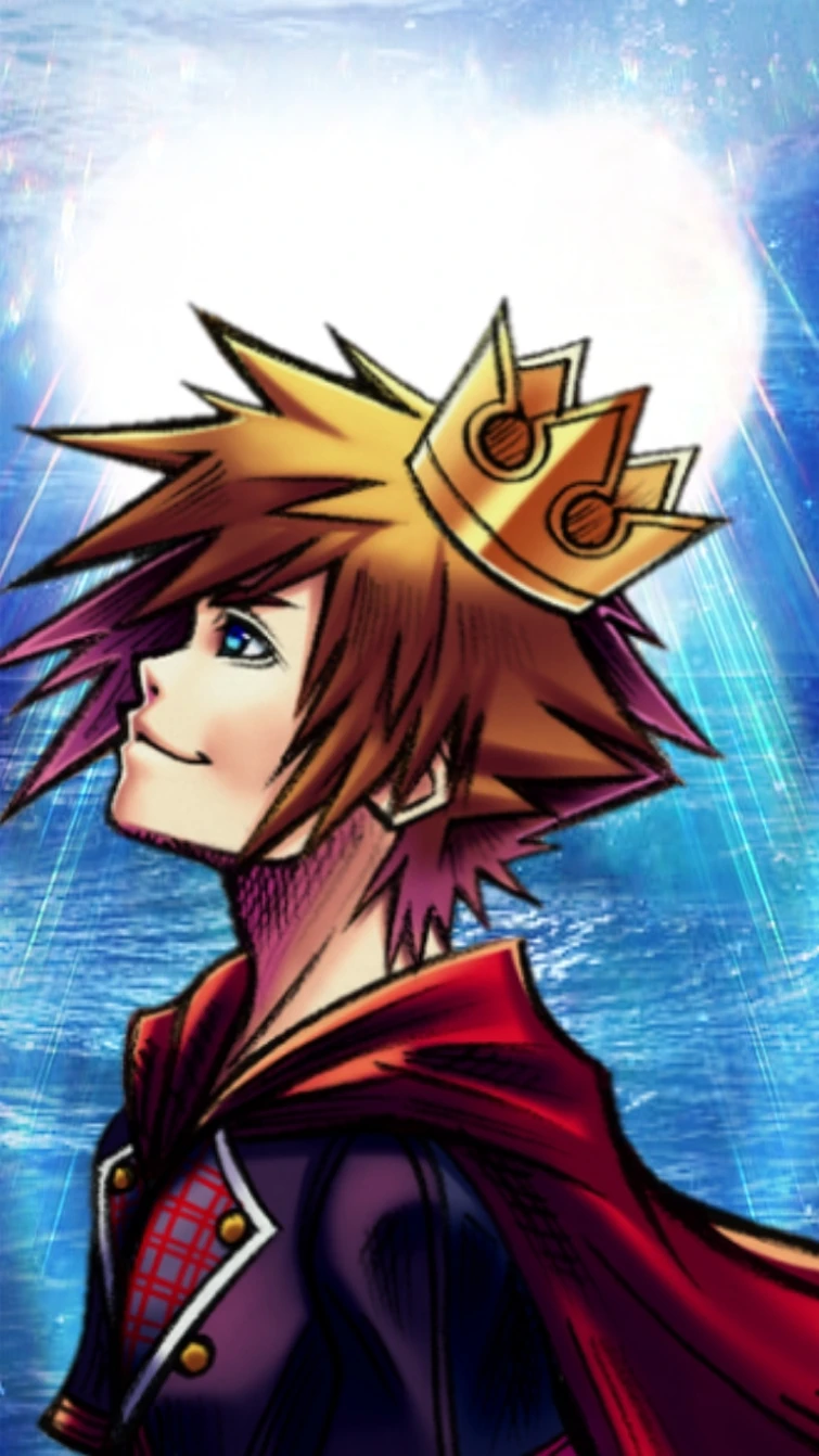 Who can fight Sora (Kingdom Hearts) if he ever return for another Death ...