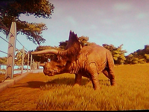 Isla Muerta | Fandom