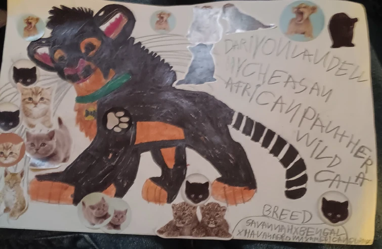 Discuss Everything About NatureRules1 Wiki | Fandom