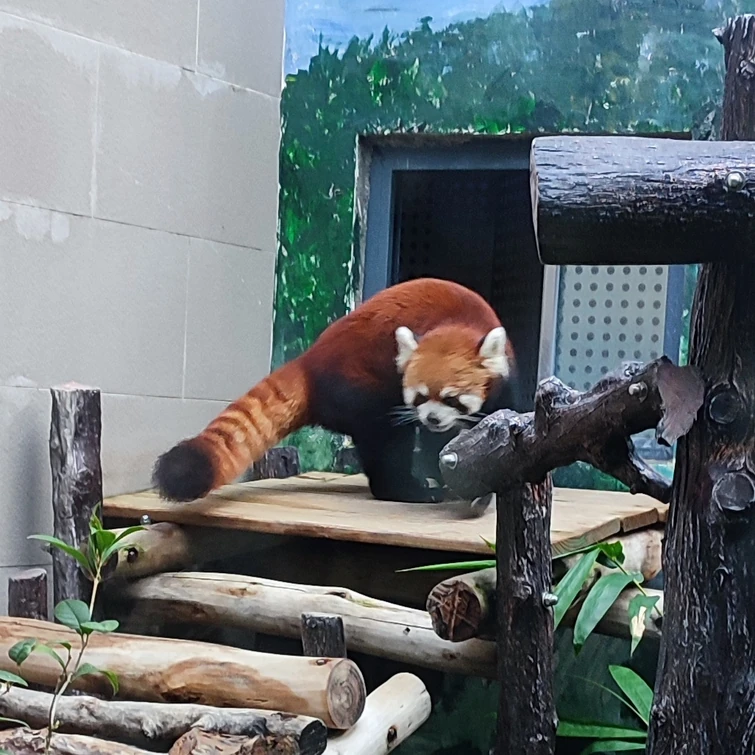 went to the zoo | Fandom