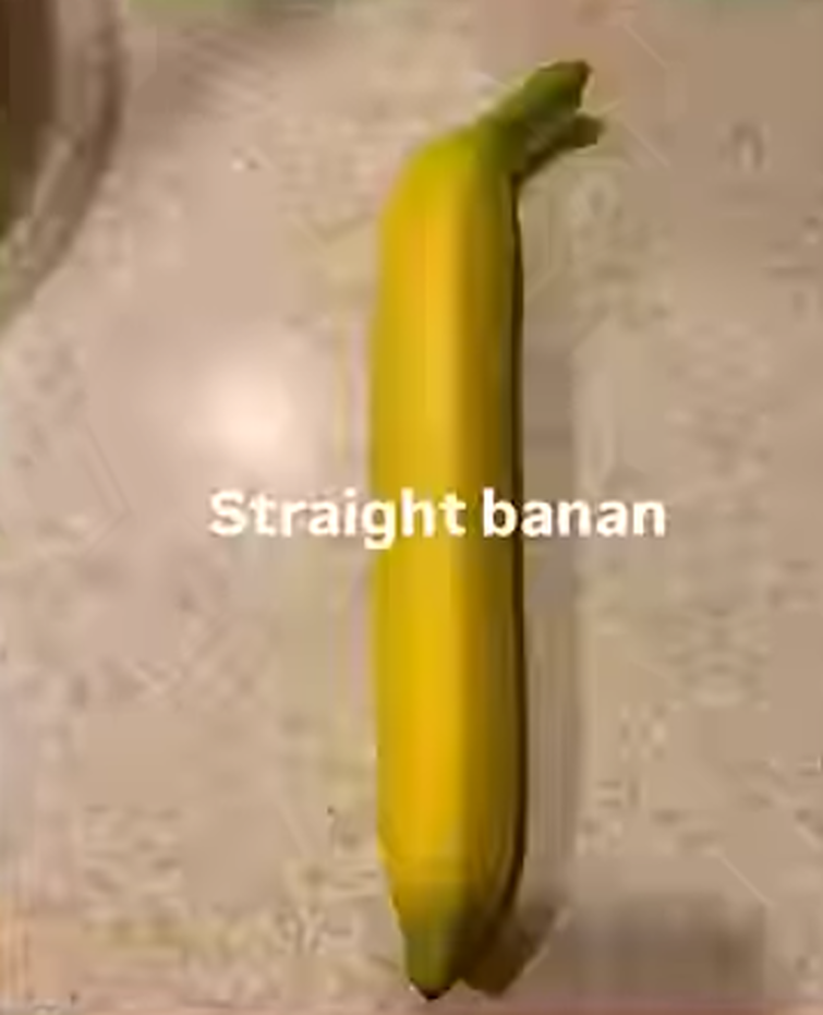 Discuss Everything About Pilgrammed Wiki | Fandom