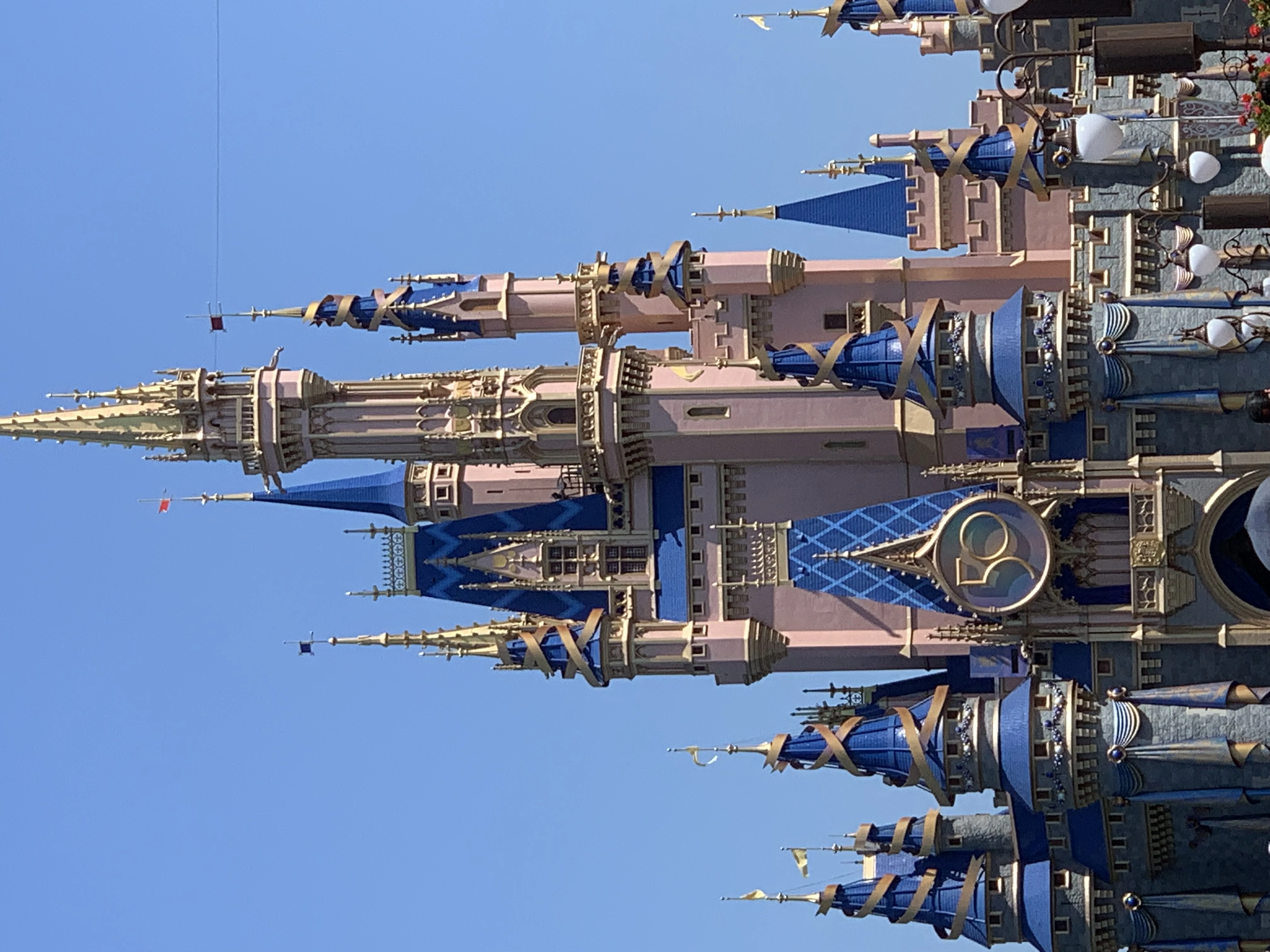 The Castle at Disney World | Fandom