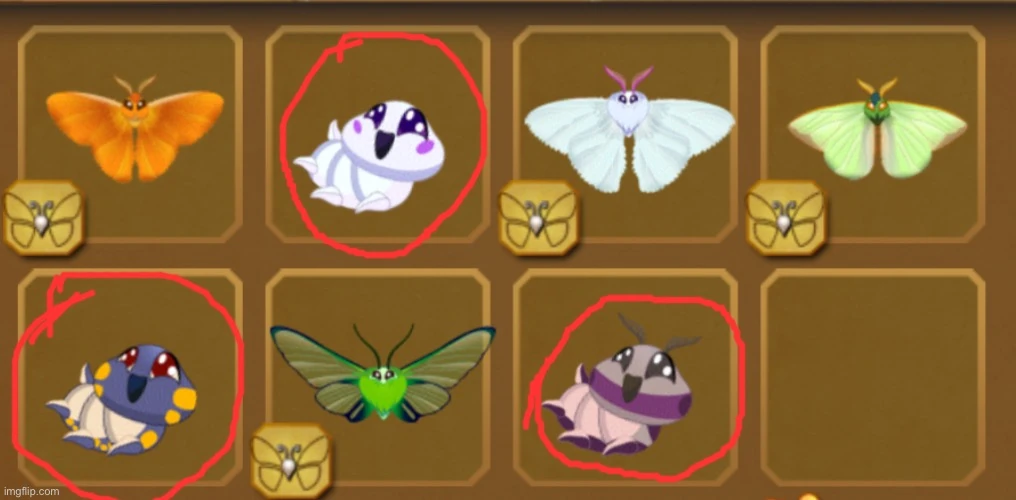 Why do I keep getting bad moths??? | Fandom