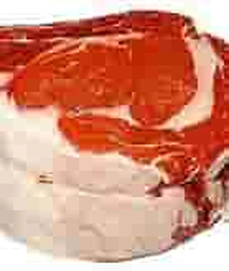 BFDI Wiki, let’s make a Fun BFDI Facts style video script. | Fandom