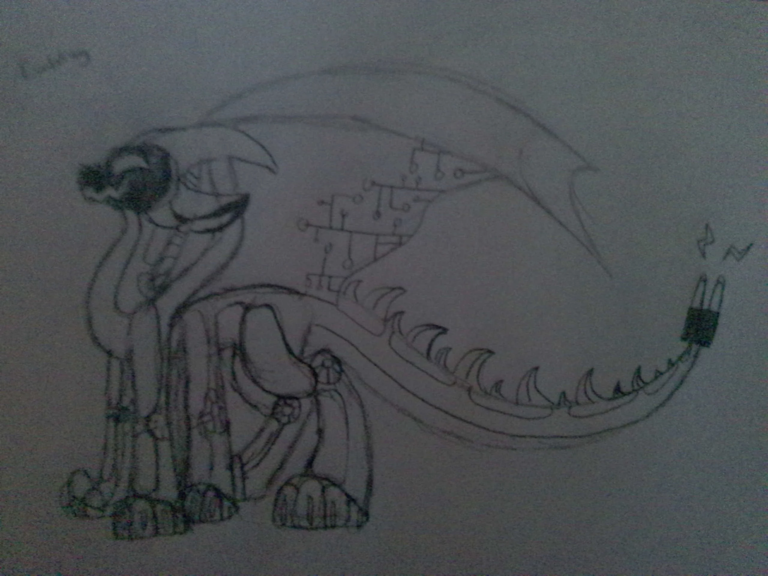 Subspecies of the ProtoWing! (Original Species Post) | Fandom