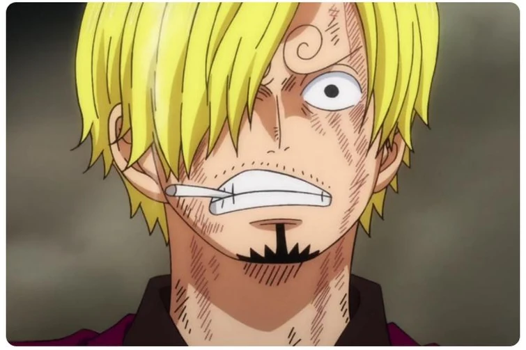 What level do you think Zoro and Sanji are currently at? | Fandom