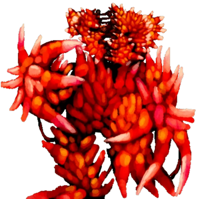 Discuss Everything About Roblox BEAR Wiki | Fandom