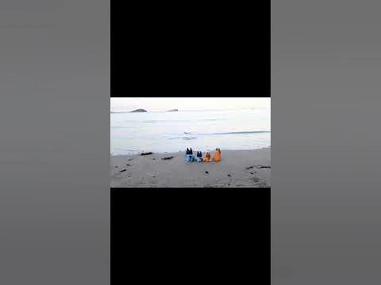 Nos encanta la playa !!!! | Fandom