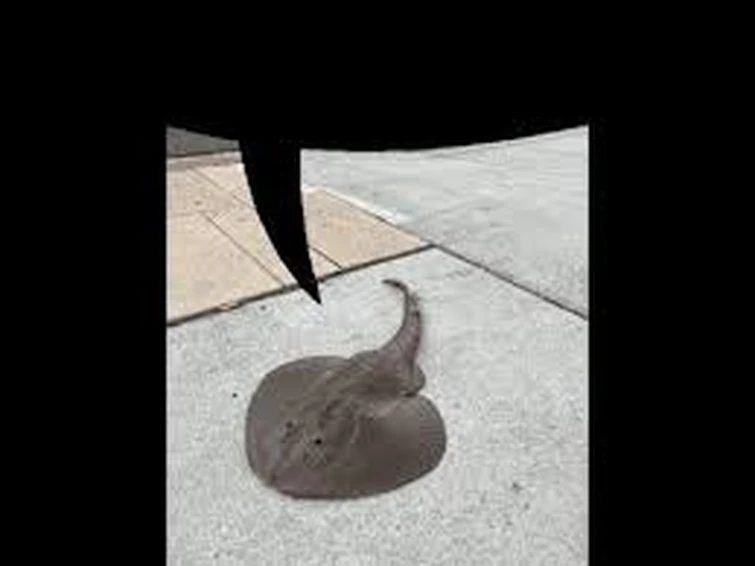 Fanart for this guy | Fandom