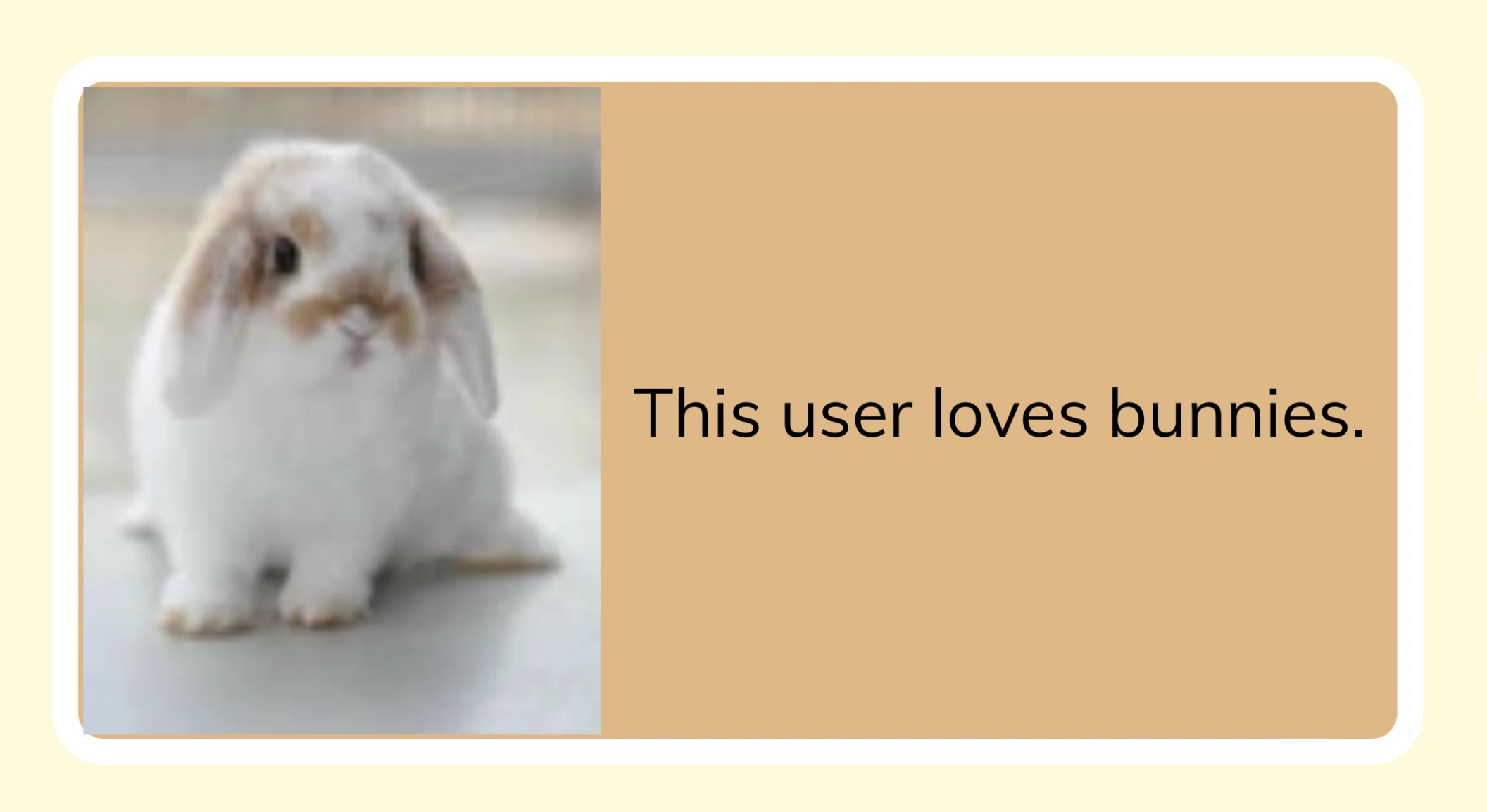 I made a this user loves bunnies userbox | Fandom
