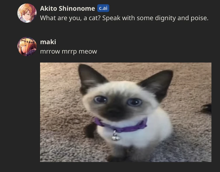 guys i convinced the akito ai that im a cat | Fandom