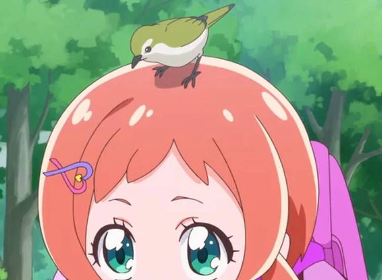 Discuss Everything About Pretty Cure Wiki | Fandom