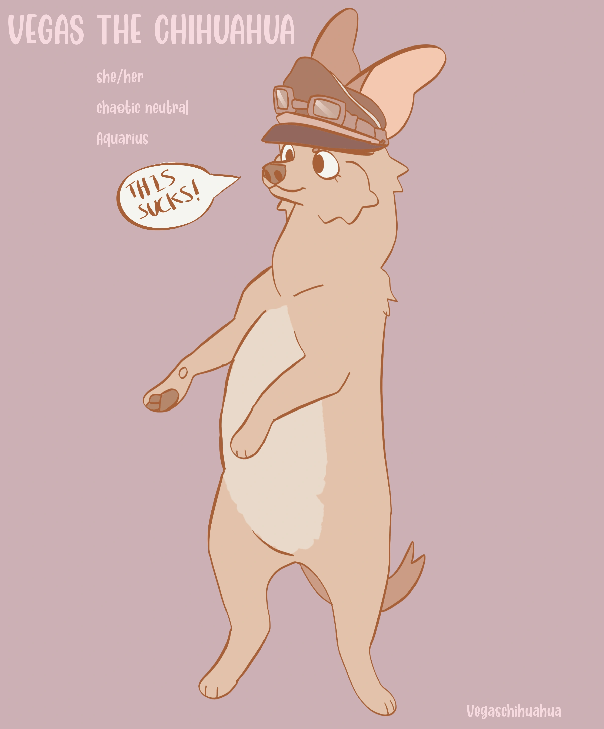 FORMAL INTRODUCTION ! | Fandom