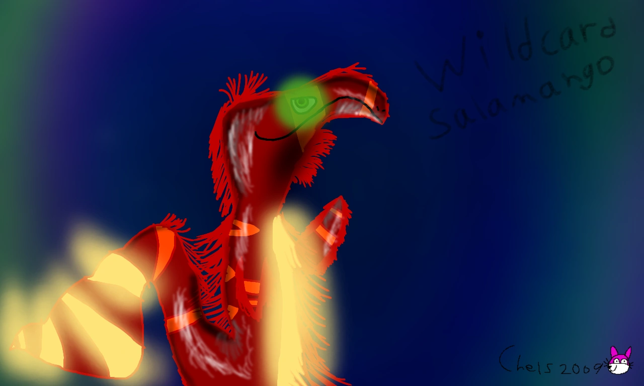 Wildcard salamango | Fandom