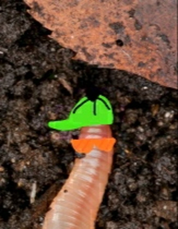 sniper worm | Fandom