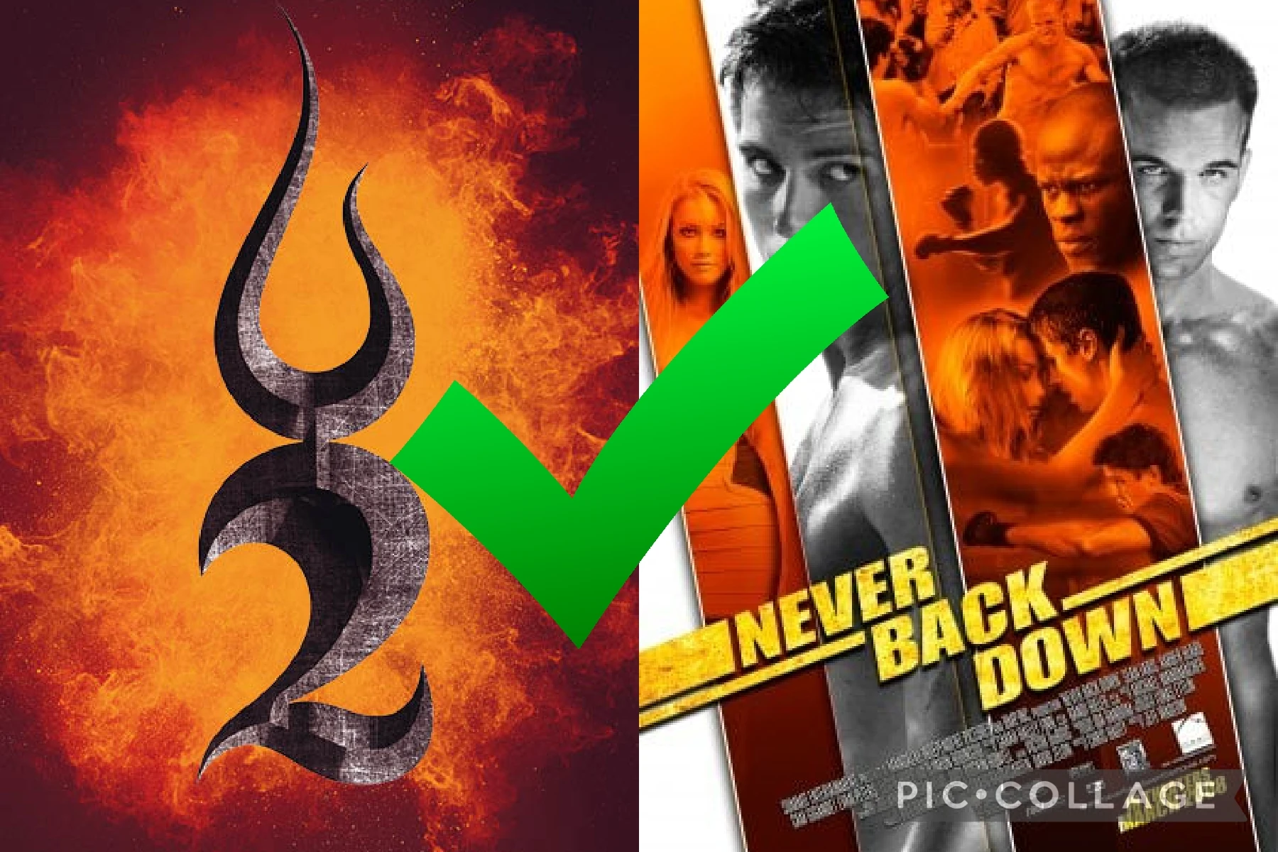 Two Steps From Hell Likely Creating a Song Never Back Down 2008 and Born to Race Film series ...