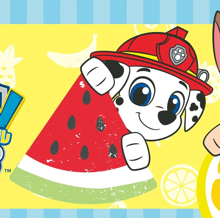 From seeing the PAW Patrol’s T-shirt designs, do you think it would ...