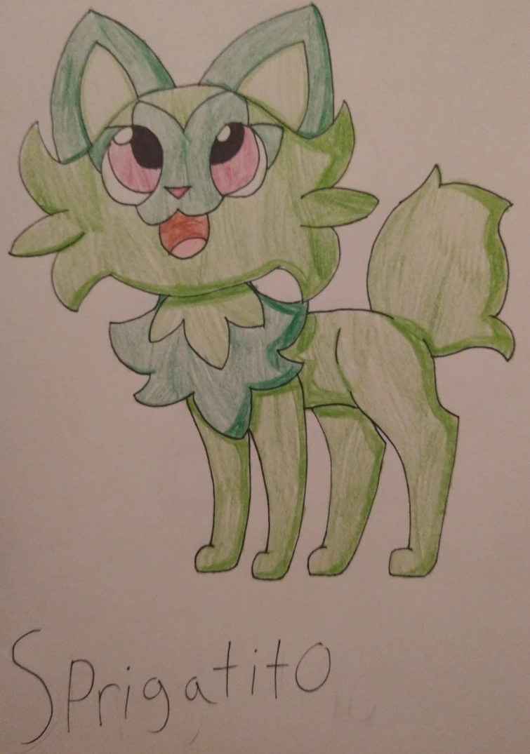 Sprigatito, Fuecoco, and Quaxly | Fandom